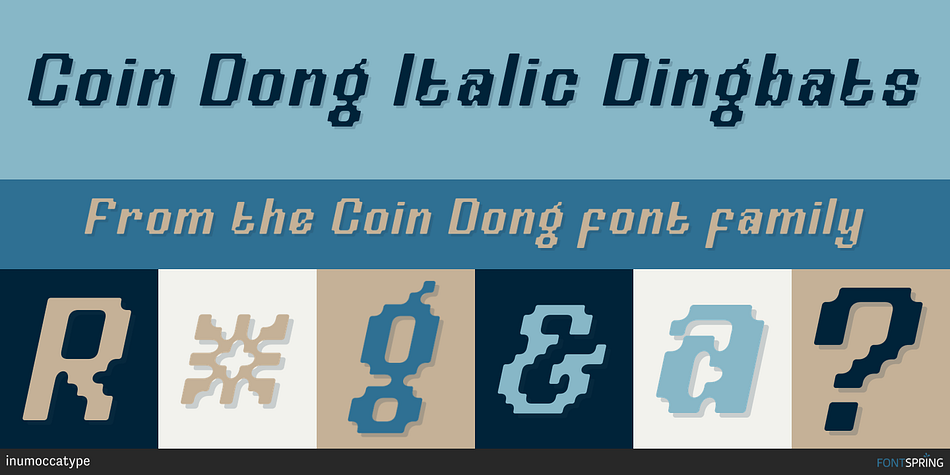 Coin Dong Italic Dingbats Font