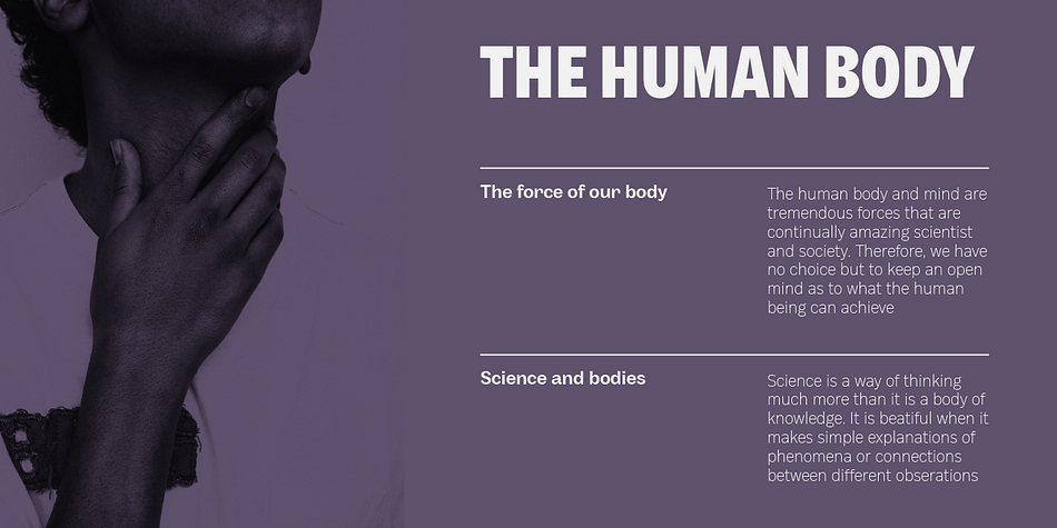 Body Font | Fontspring