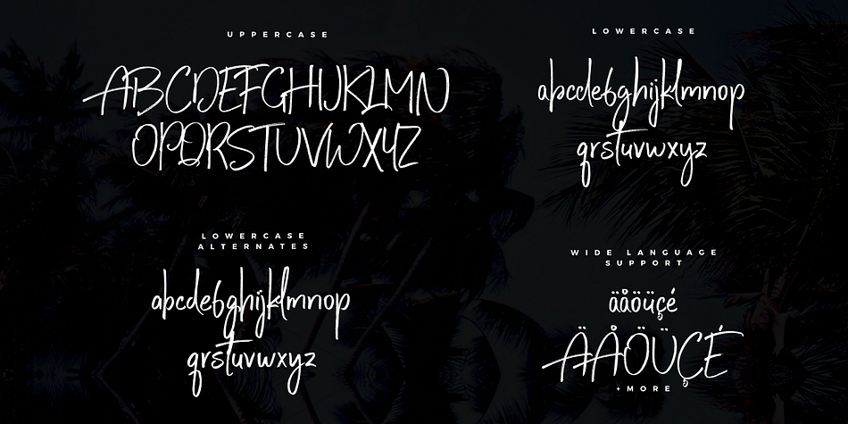 Steadfast Font