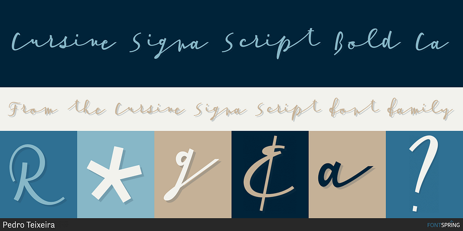 Cursive Signa Script Bold Ca Font
