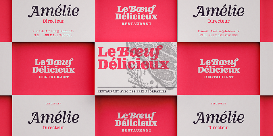 DT Augustina Slab Font