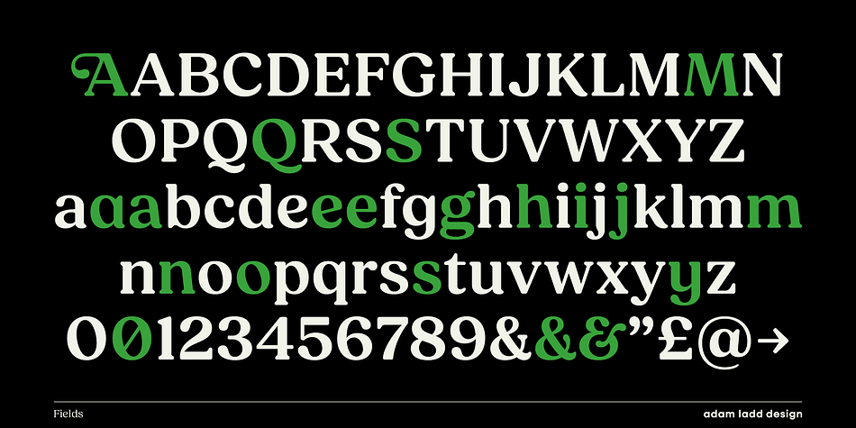 Fields Font