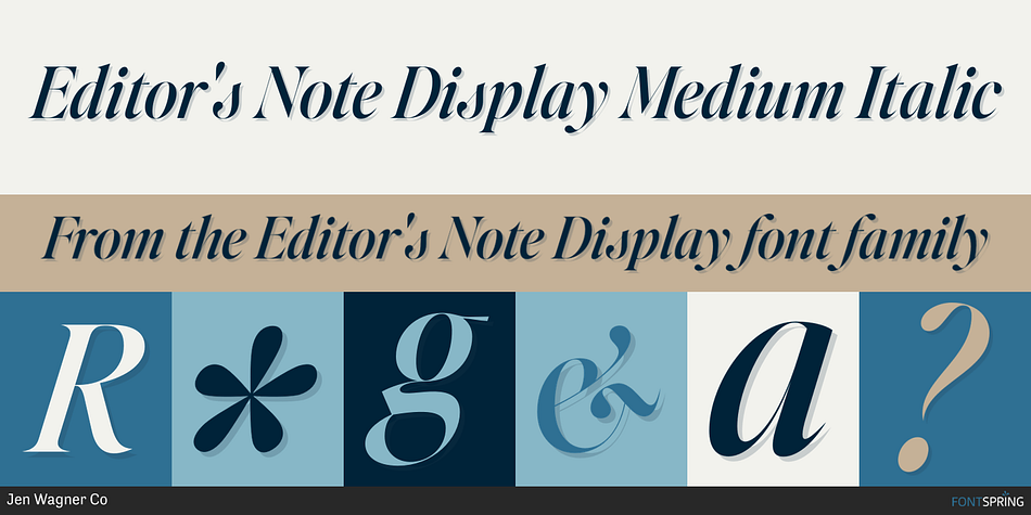 Editor's Note Display Medium Italic Font