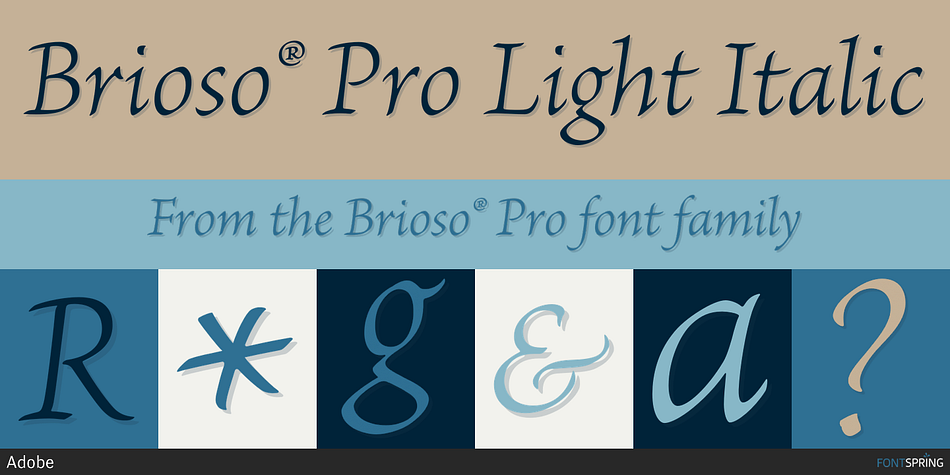 Brioso® Pro Essential Font
