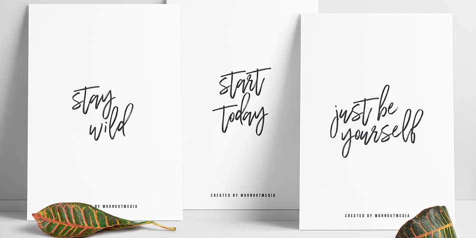 Wilderness Typeface Font