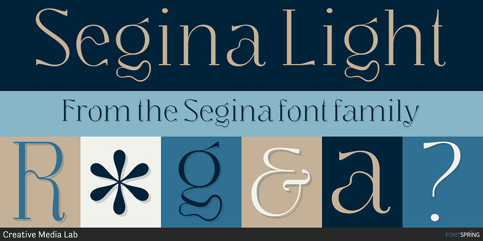 Segina Light Font
