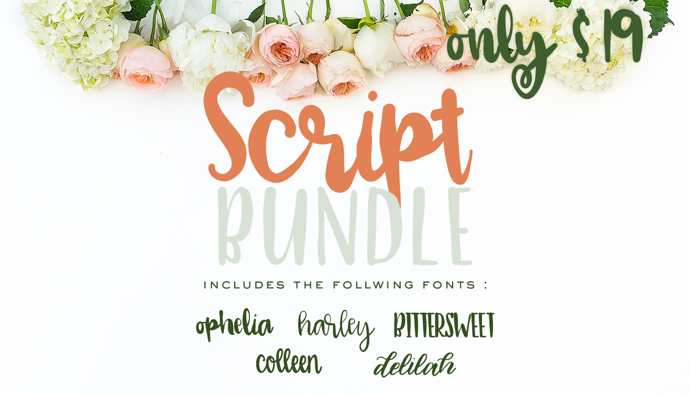 August Script Bundle Font