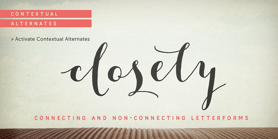 Mila Script Pro Font