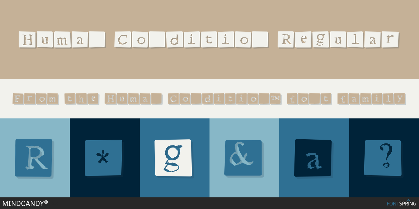 Fonts similar to Human Condition™