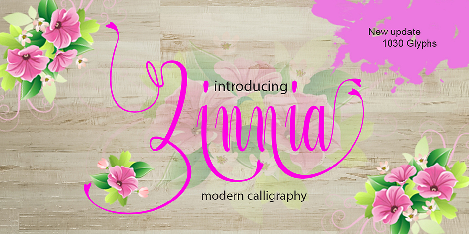 Zinnia Font Family by RtCreative - Fontspring