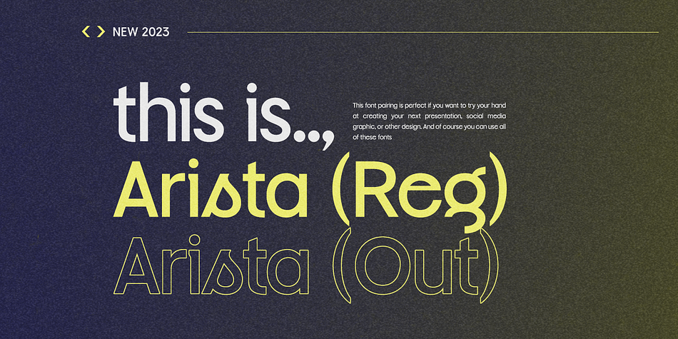 Arista Sans Font