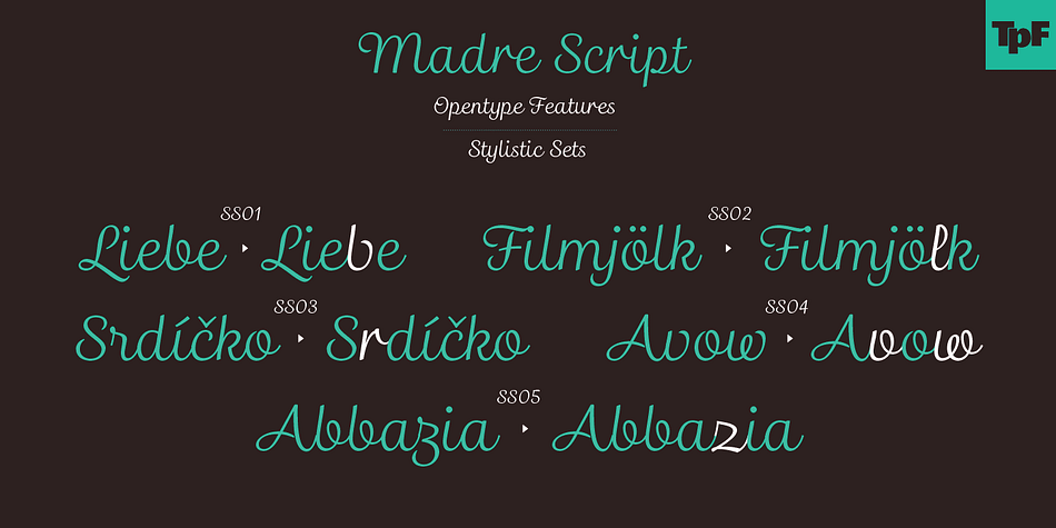 Madre Script Font