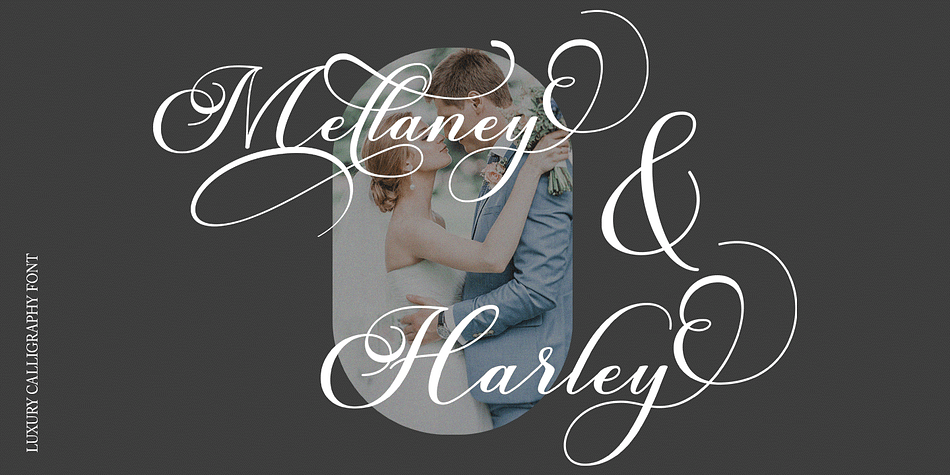 Burberry Font