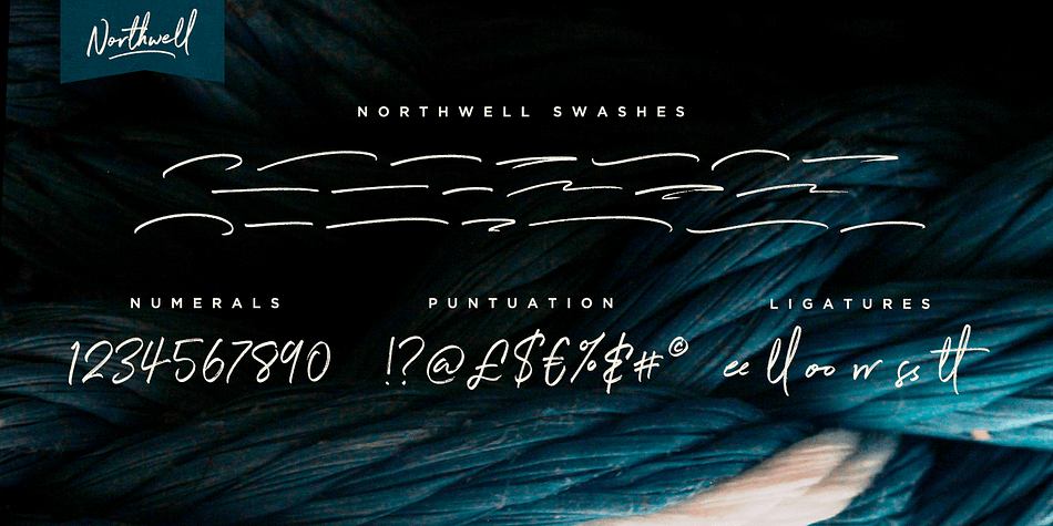 Northwell Font