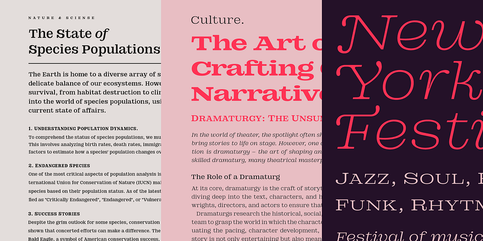 DT Augustina Slab Font