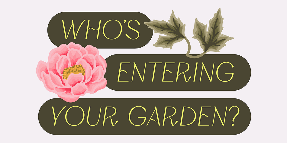 Silkrose Font