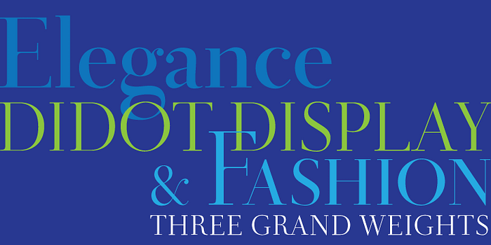 Didot Display Font