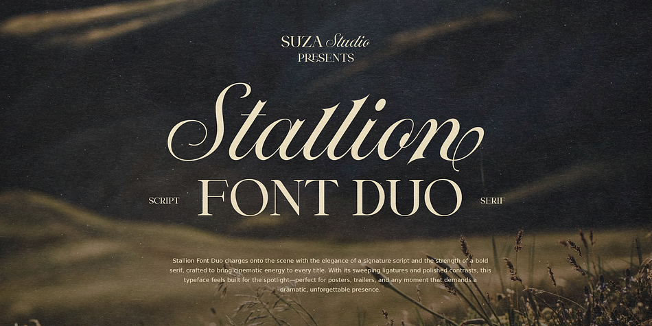 Stallion Font Duo Font