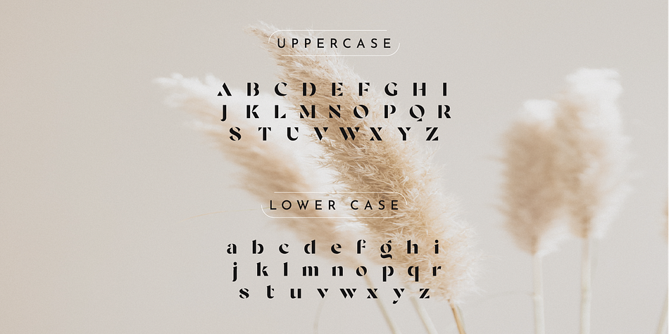 Elda Font