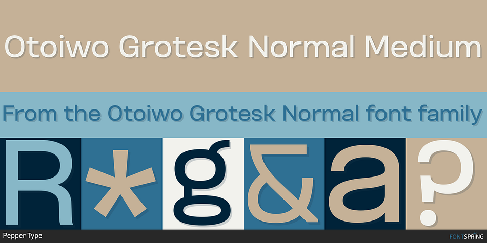 Otoiwo Grotesk Normal Medium Font