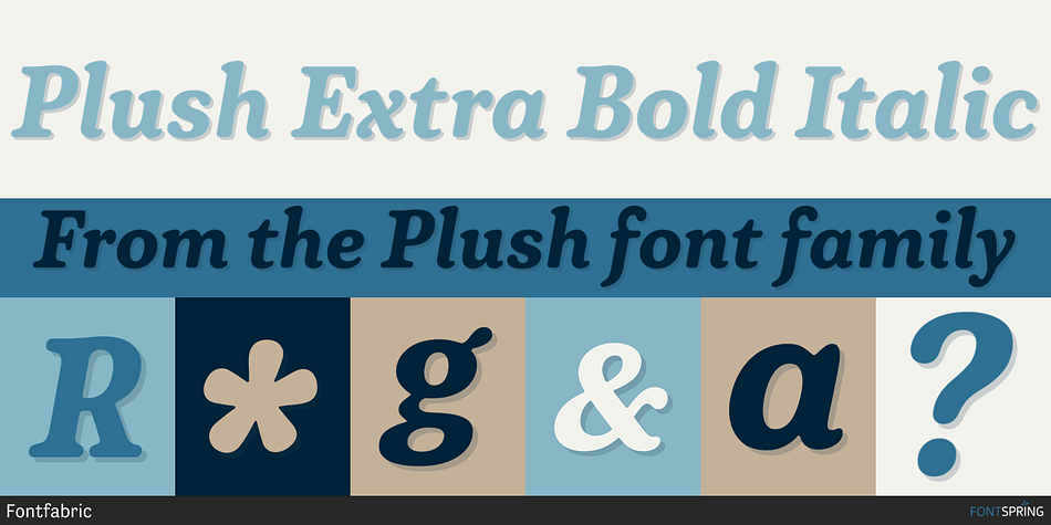 Plush Extra Bold Italic Font