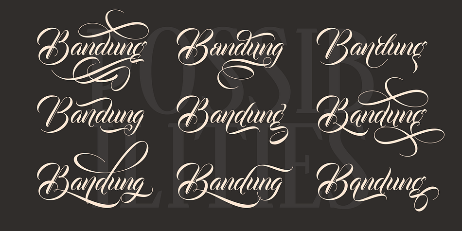 Bandung Pro Font