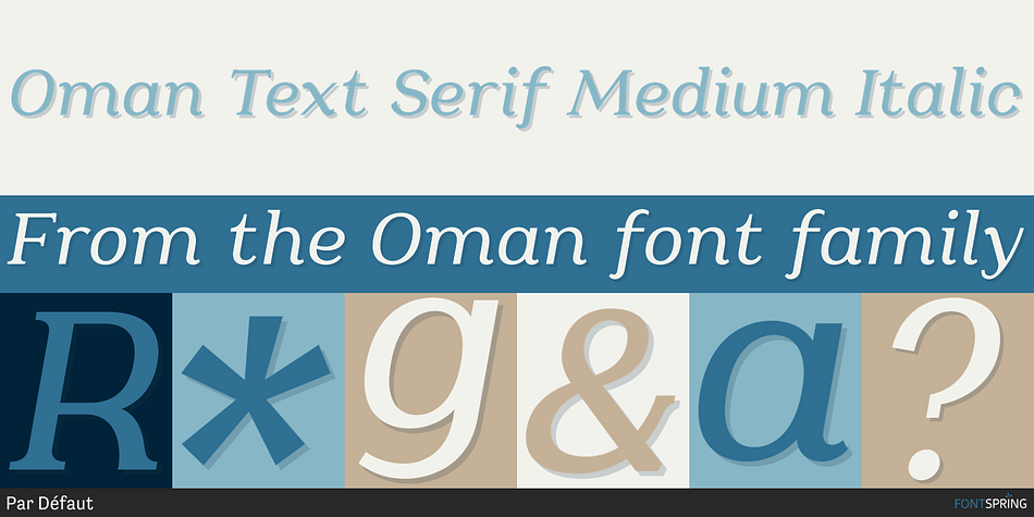 Oman Text Serif Medium Italic Font