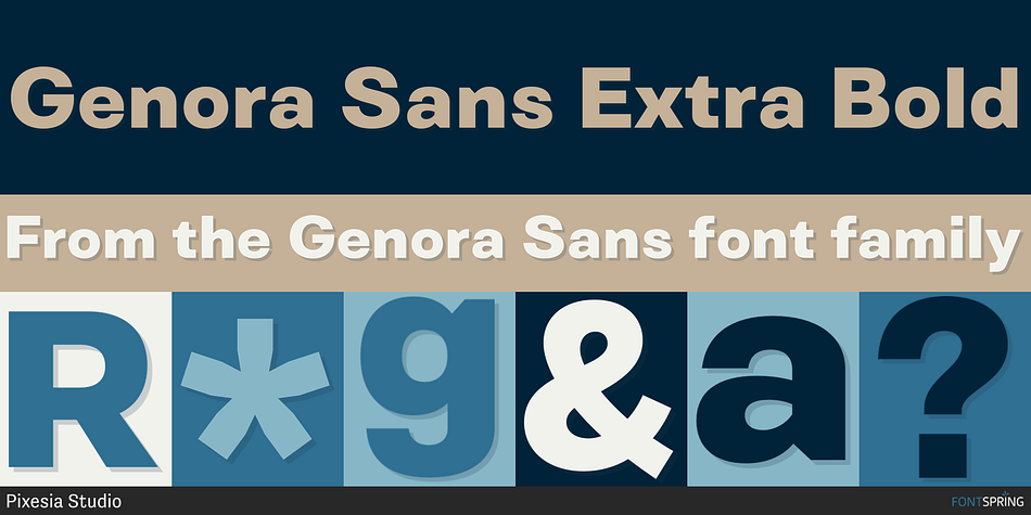 Genora Sans Extra Bold Font