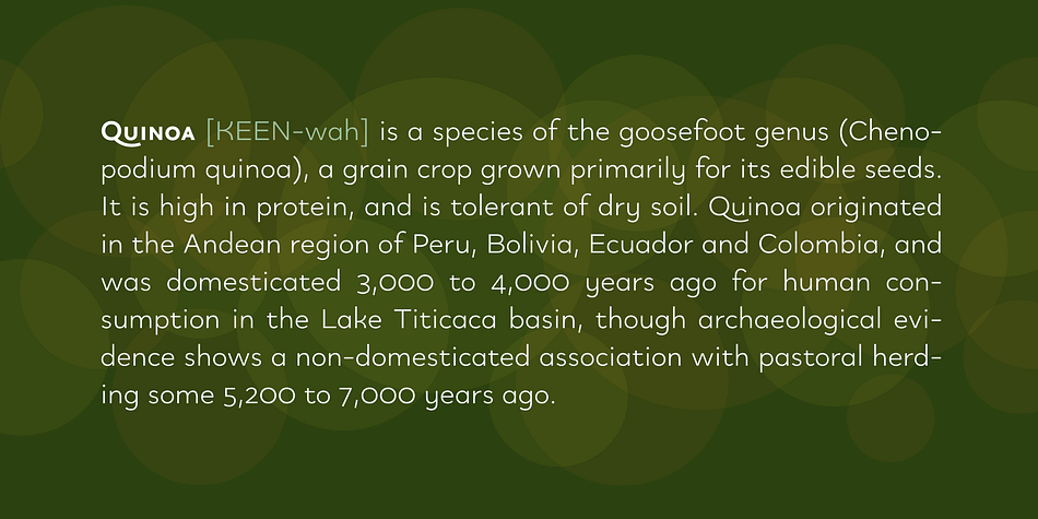 Quinoa Font