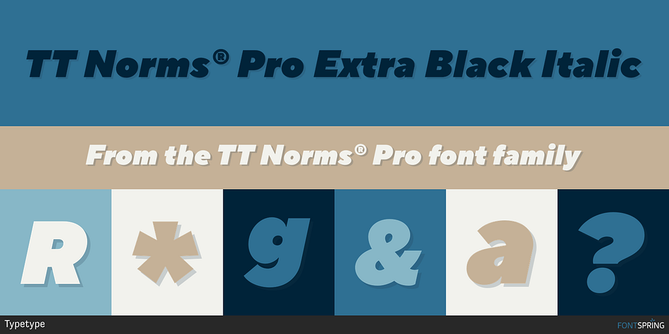 TT Norms® Pro Extra Black Italic Font