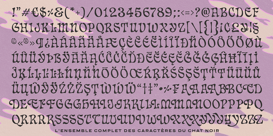 Chat Noir Font
