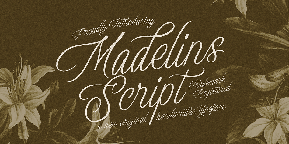 Madelins Script Font