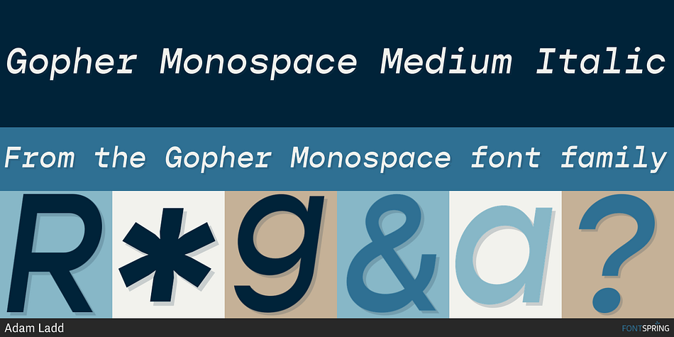 Gopher Monospace Medium Italic Font