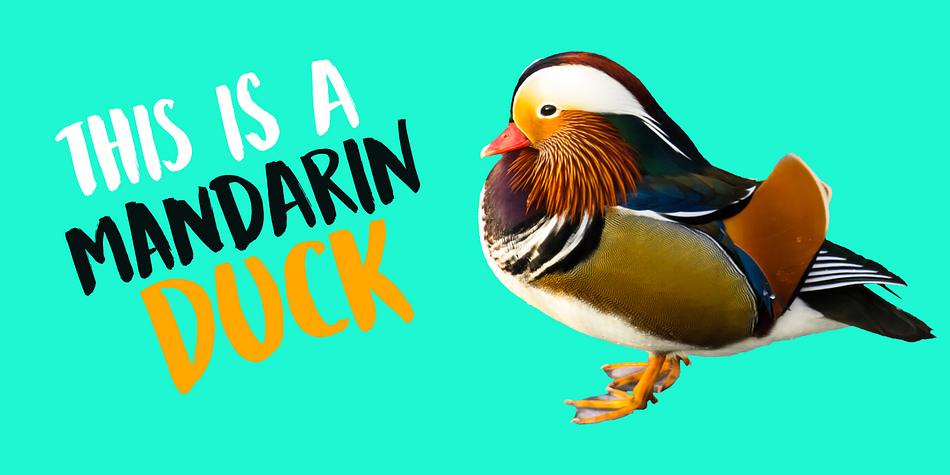 Mandarin Whispers Font