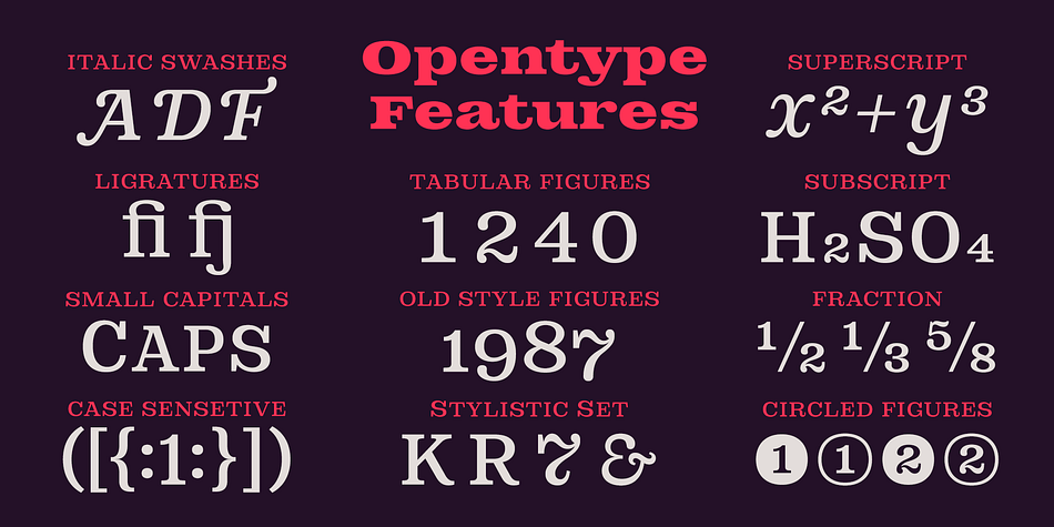 DT Augustina Slab Font