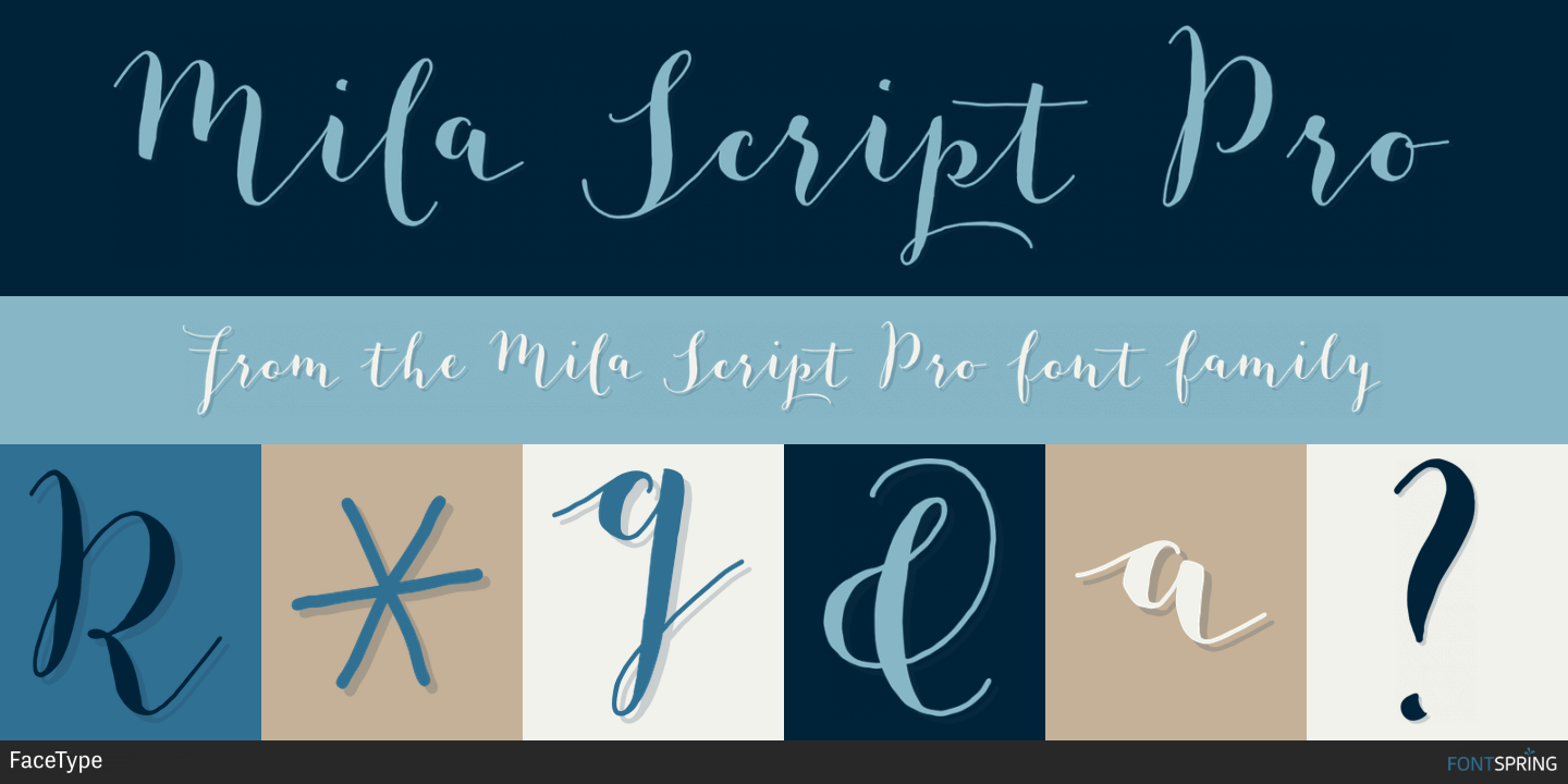 Fonts similar to Mila Script Pro
