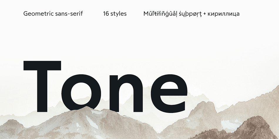 RF Tone Font Family by Russian Fonts - Fontspring