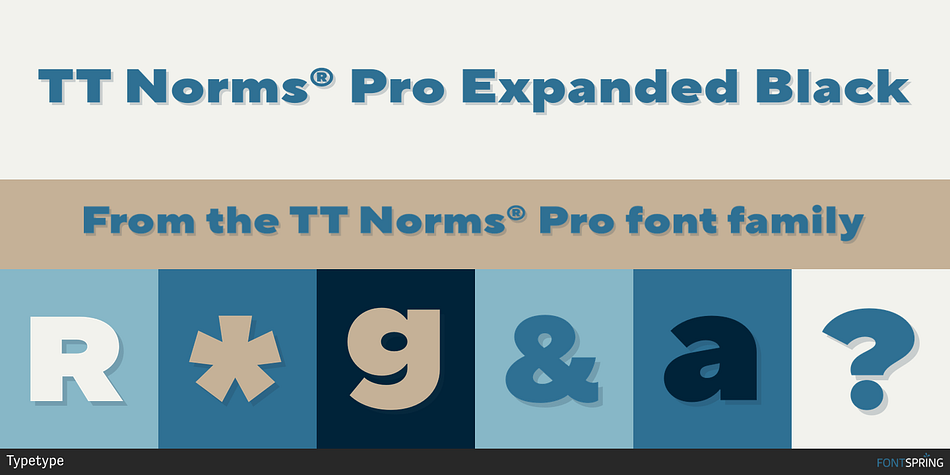 TT Norms® Pro Expanded Black Font