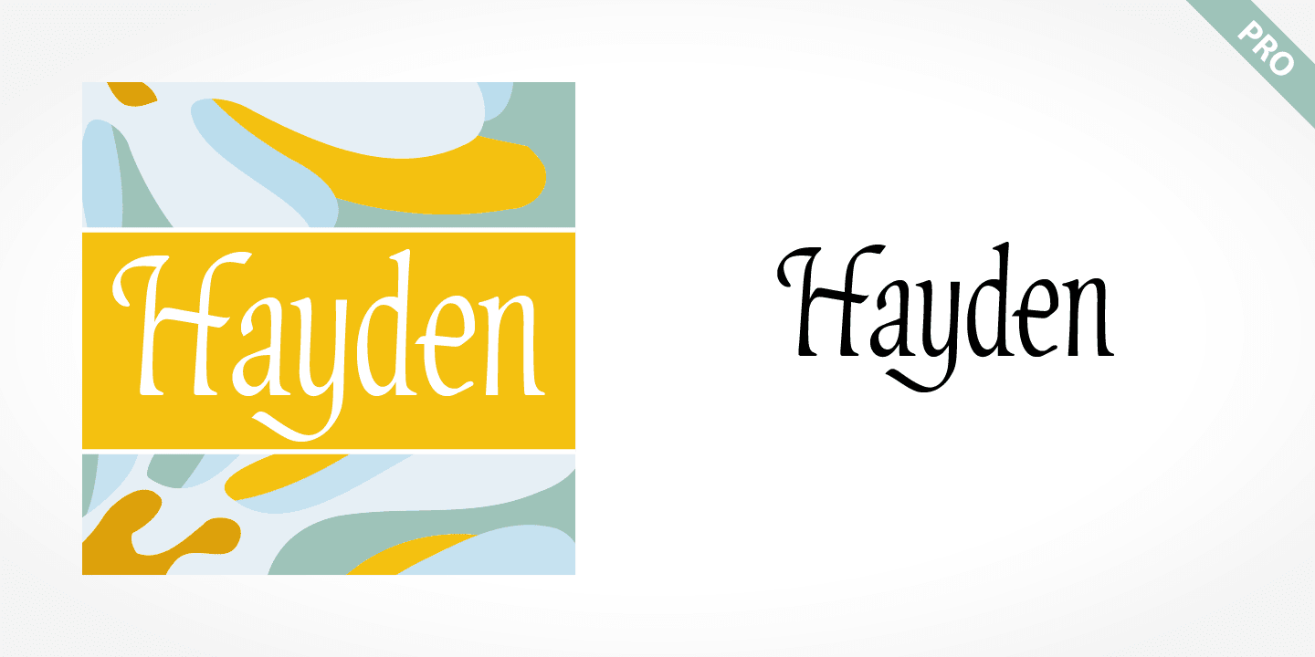 Hayden Pro Font