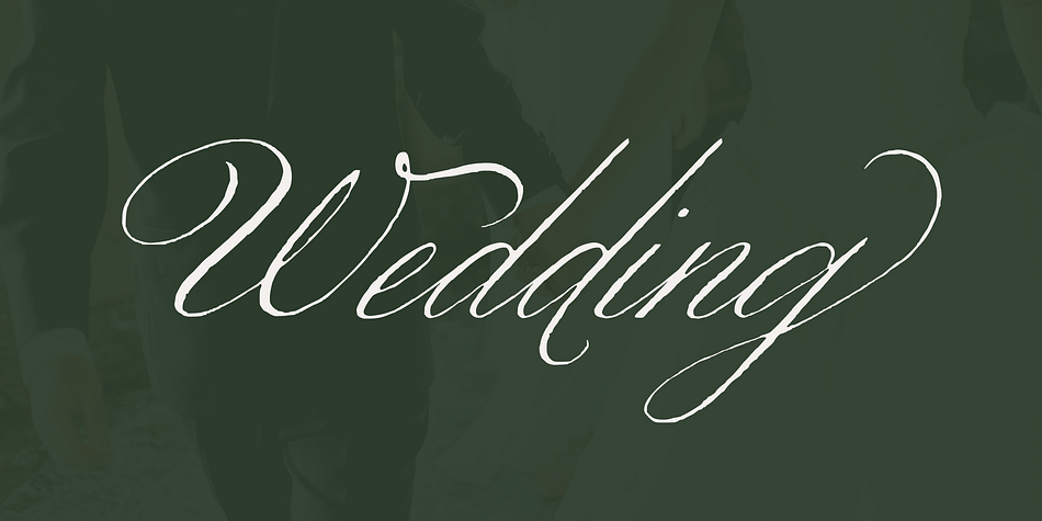 Wordless Script Font