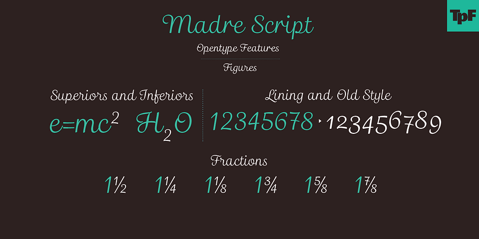 Madre Script Font