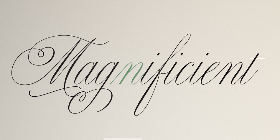Bellissima Script Font