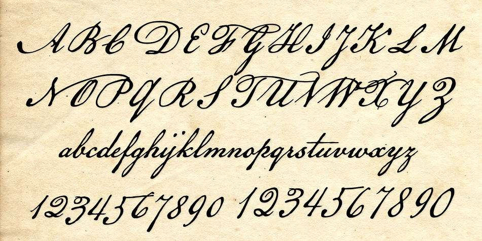 American Scribe Font