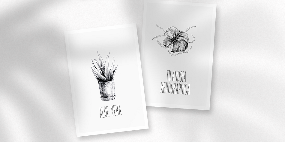 Luka Pro Font | Fontspring