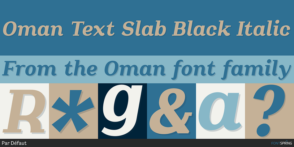 Oman Text Slab Black Italic Font