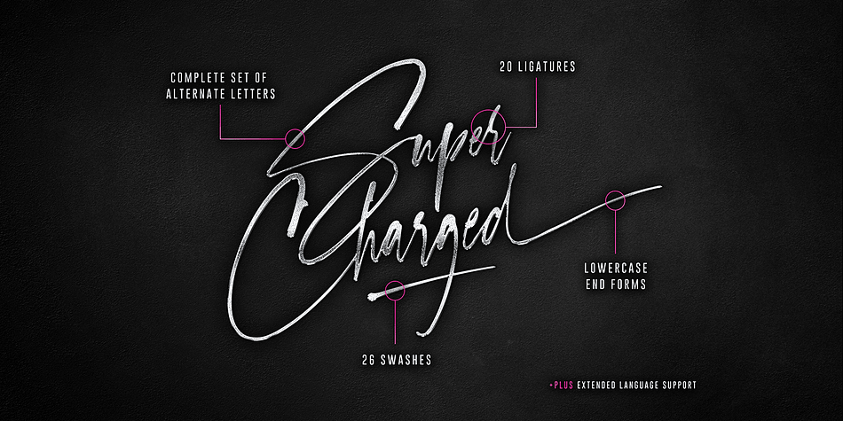 Checkpoint Signature Font