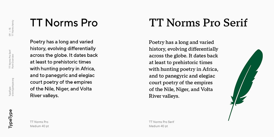 TT Norms® Pro Serif Font