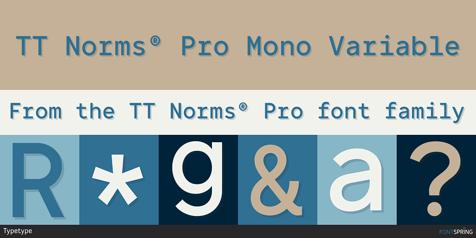 TT Norms® Pro Mono Variable Font