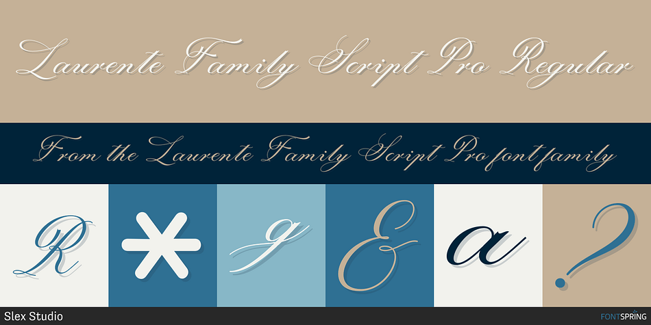 Laurente Family Script Pro Regular Font