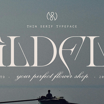 Fontspring. Worry-Free fonts for everyone.